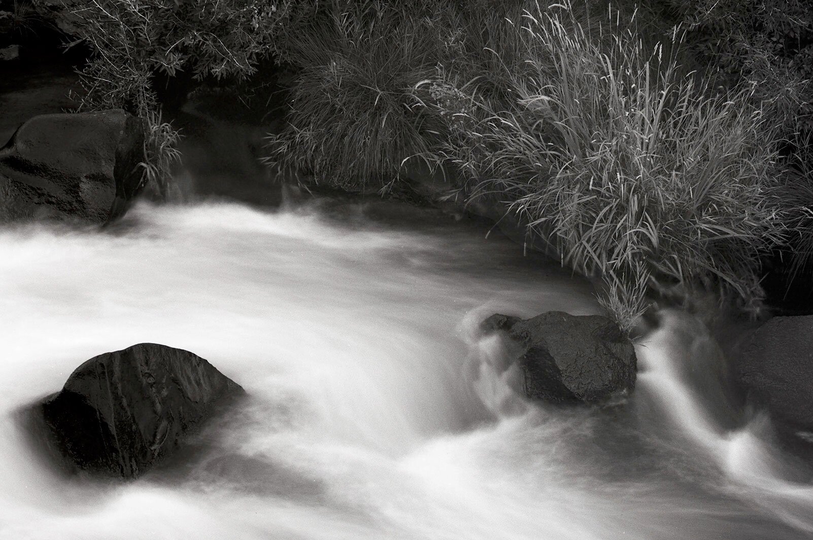 Harry Goldstrom Photography - Harry Goldstrom Photography